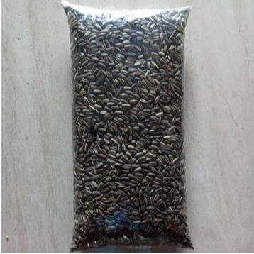 Jual Biji Kuaci Hitam Bunga Matahari 1kg (Pakan Makanan Burung LOVEBIRD ...