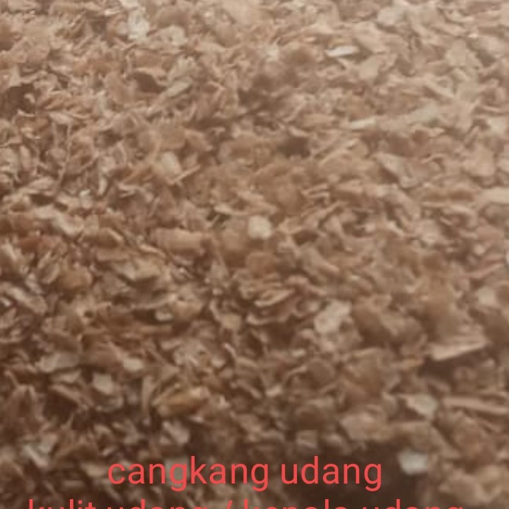Jual kulit udang, cangkang udang, kepala udang | Shopee Indonesia