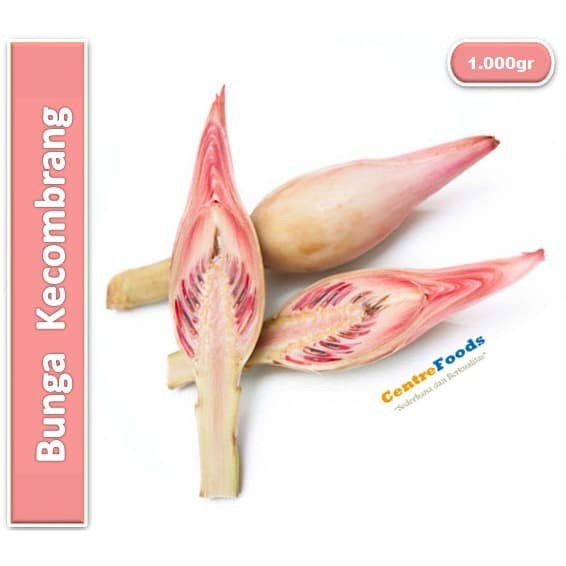 Jual Kecombrang Segar - Sayur Bunga Kecombrang Kincung Honje Fresh | 1 ...
