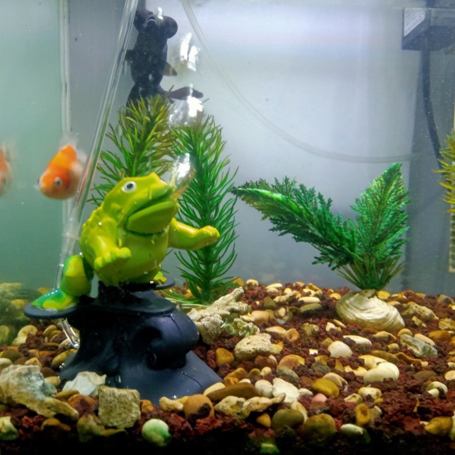 Jual hiasan aquarium katak, dekorasi aquarium katak, hiasan aquarium ...