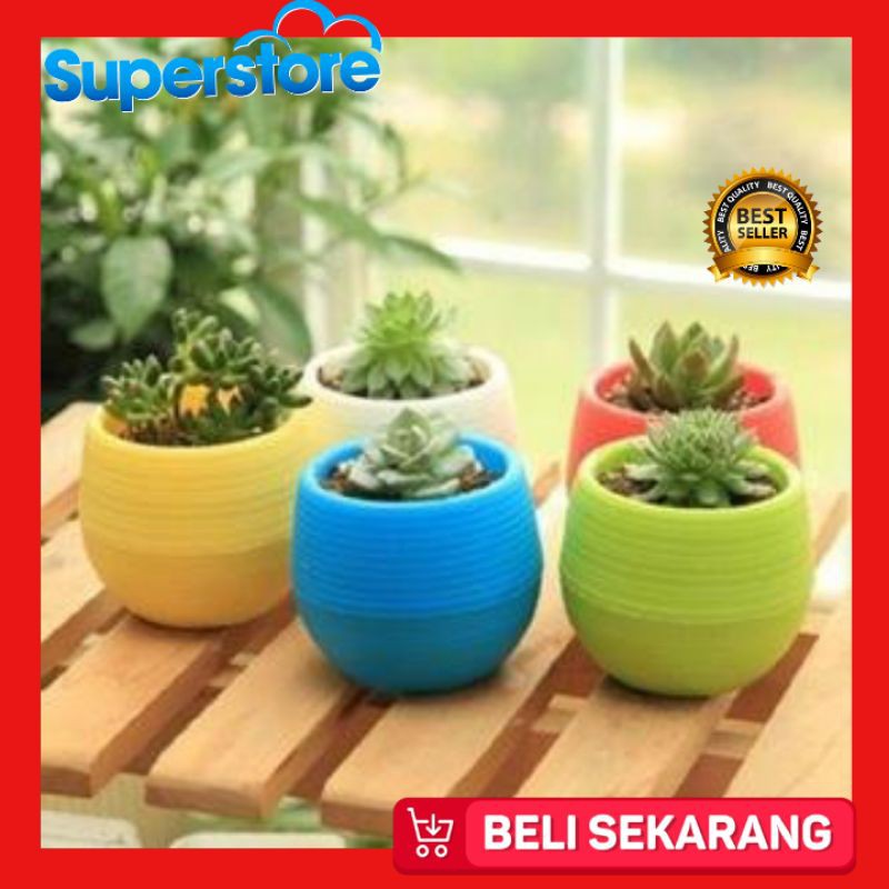Jual Pot/Vas Bunga Plastik Mini Tanaman Kecil Hias Succulent | Shopee ...