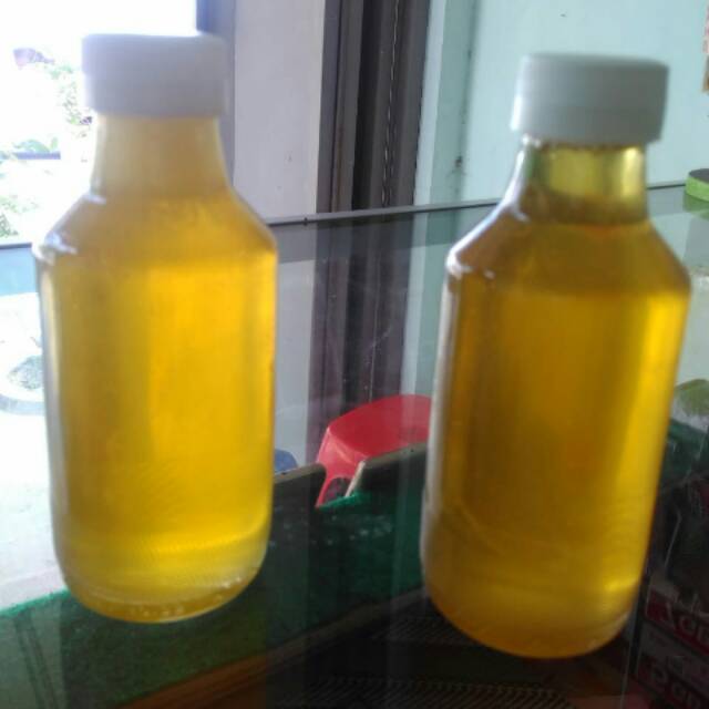 Jual Madu randu murni, botol kecil | Shopee Indonesia