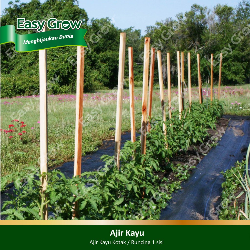 Jual Easy Grow Ajir Kayu 13 x 13 x 600 mm 6 pcs/pack | Shopee Indonesia