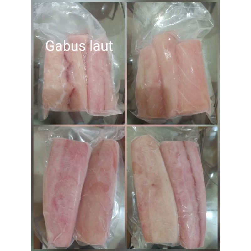 Jual Ikan Gabus Fillet 500 gram frozen | Shopee Indonesia