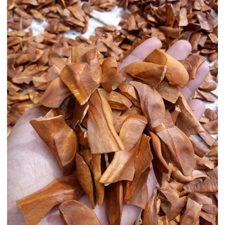 Jual HERBAL / OBAT HERBAL // BIJI BUAH MAHONI MAUNI KERING 500GR ...