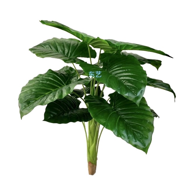 Jual POHON TALAS ARTIFICIAL - DAUN TALAS - TANAMAN Hias ( PHT12 ...