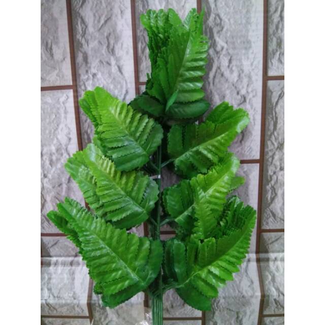 Jual Daun pakis artificial bunga (5PCS) | Shopee Indonesia