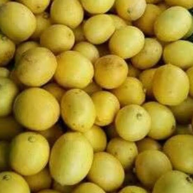 Jual Lemon Lokal 250 gram | Shopee Indonesia