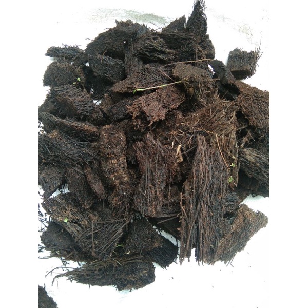 Jual serabut pakis media tanam 1kg | Shopee Indonesia