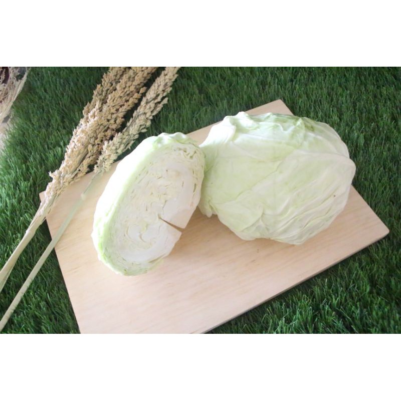 Jual serba 10rb ( ditulis di catatan ya utk pilihannya ) | Shopee Indonesia