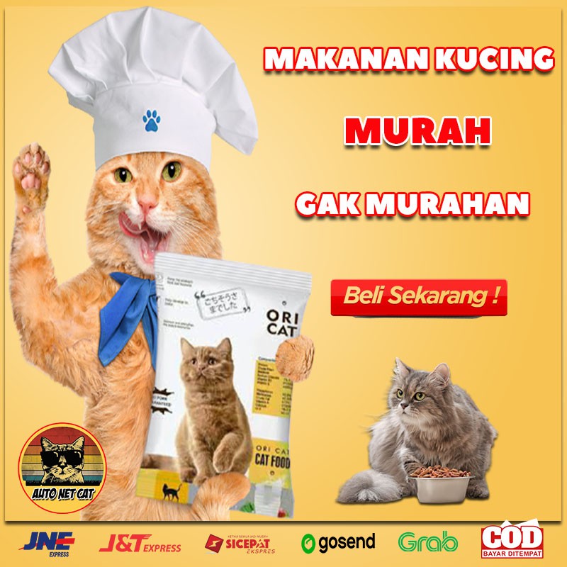 Jual Makanan Kucing Murah Sehat Ori Cat Adult 1 Kg / Setara Bold Pakan ...