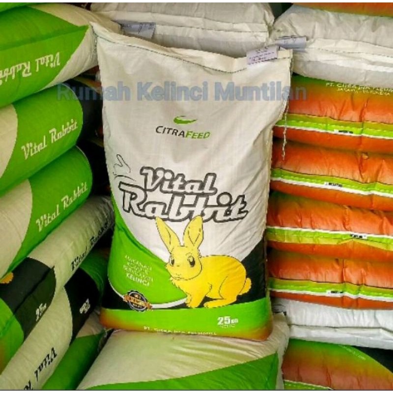 Jual Vital Rabbit Pakan Kelinci | Shopee Indonesia