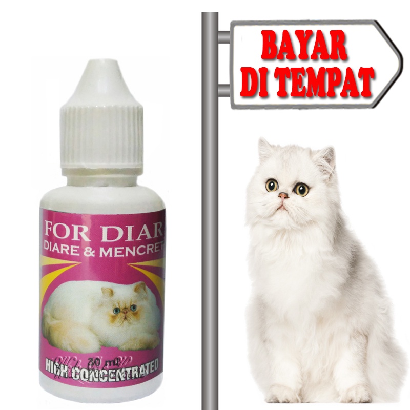 Jual Obat Mencret Diare Kucing High Concentrated ForDiar | Shopee Indonesia