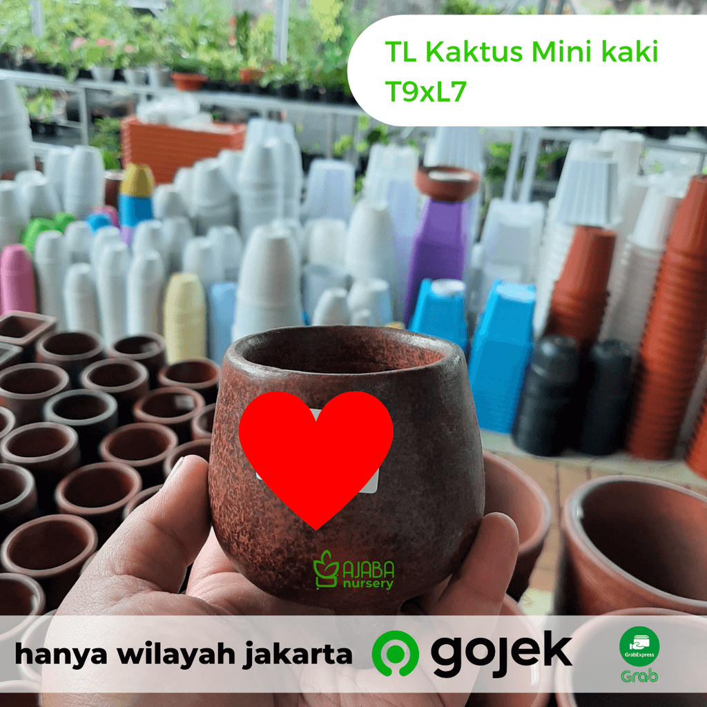 Jual Pot Terakota - Gerabah Asli Lombok - TL Kaktus Mini Kaki T9 x L7 | Shopee Indonesia