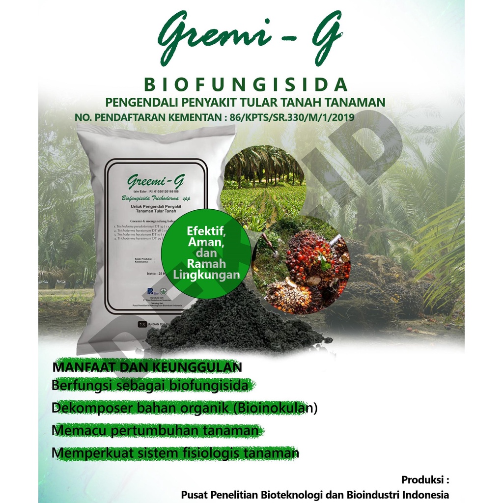 Jual Fungisida Hayati Tricoderma Harzianum GreemiG 1 Kg Pupuk Organik Jamur Trichoderma Pencegah ...