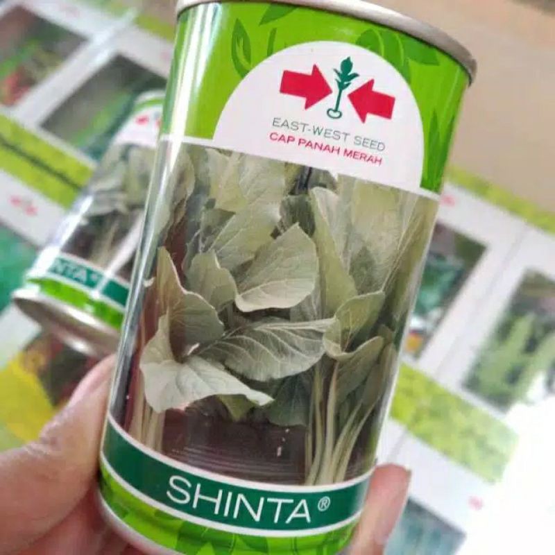 Jual Benih Sawi Caisim Shinta Kaleng 100gr | Shopee Indonesia