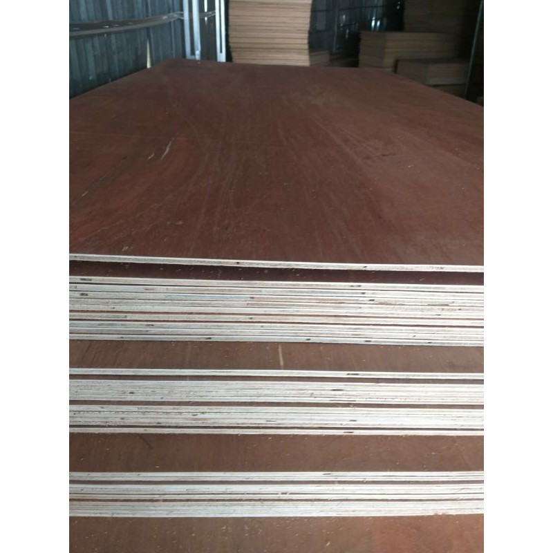 Jual TRIPLEK 8mm MC kualitas COR | Shopee Indonesia