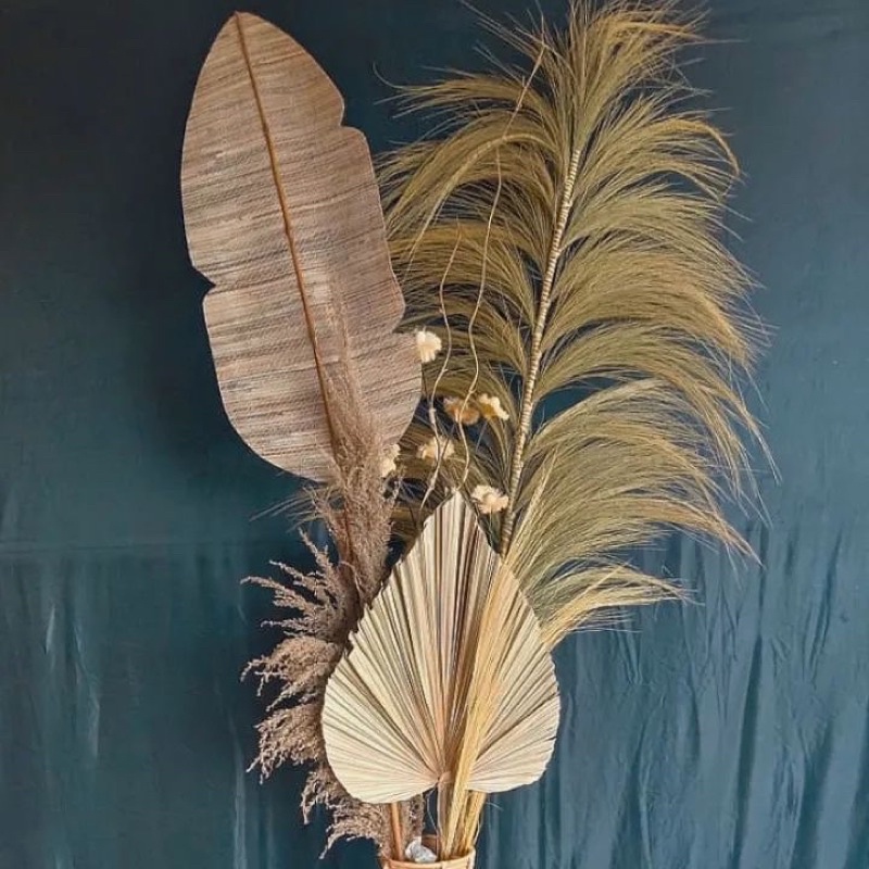 Jual PAKET LENGKAP RUSTIK DAUN KERING + POT ROTAN| RAYUNG |DAUN KERING ...