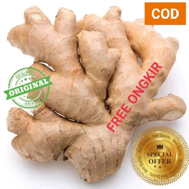 Jual Jahe gajah putih segar size besar 1 kg | Shopee Indonesia