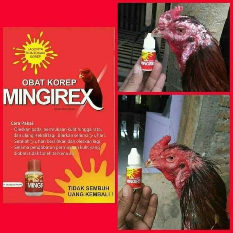 Jual OBAT KOREP (MINGGIREK) | Shopee Indonesia