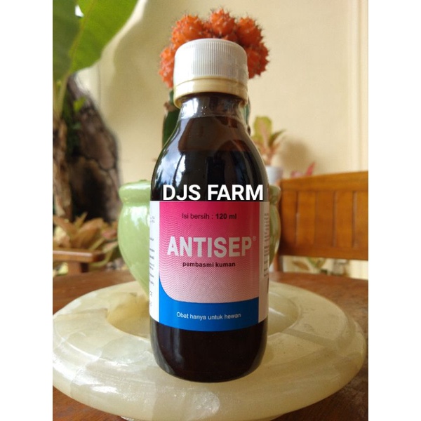 Jual Antisep 120 ml Medion Antiseptik Desinfektan Pembasmi Pembunuh ...