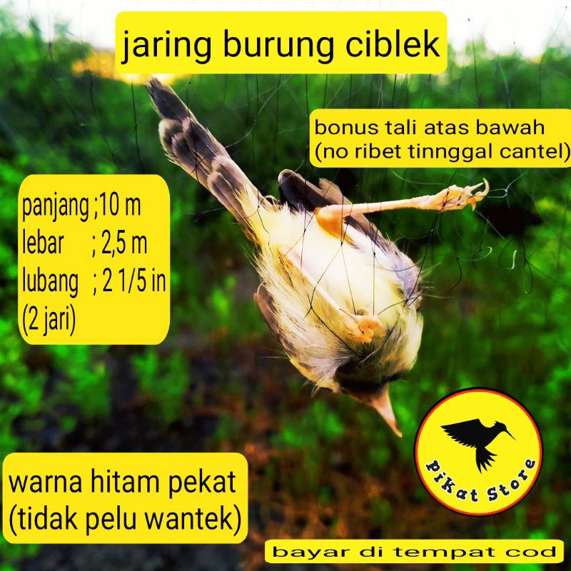Jual jaring burung pleci jala burung pikat burung perangkap burung ...