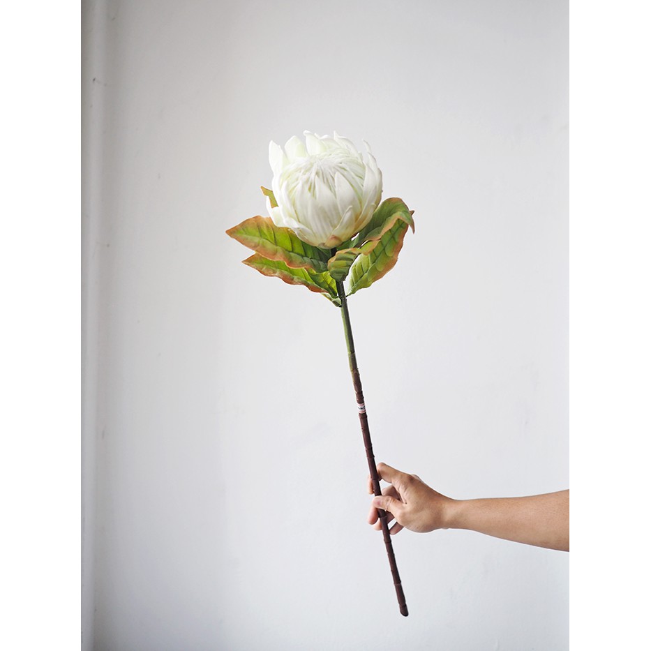 Jual Bunga Protea / artificail King Protea (B19015) | Shopee Indonesia