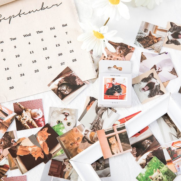 Jual Sticker Real Cat Kucing Aesthetic Scrapbook DIY Bujo Planner Diary ...