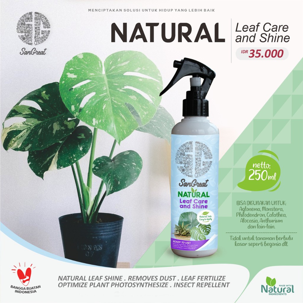 Jual semir daun tanaman hias/semir daun aglonema /Sangreat Natural LeafCare Semir Kilap Daun ...
