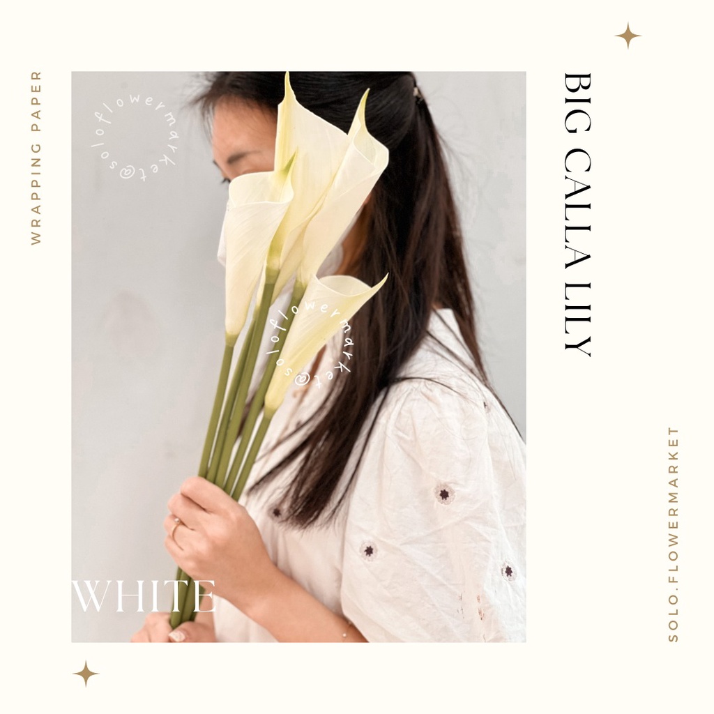 Jual BIG Calla Lily Artificial Latex Lili Bunga Palsu Dekorasi ...