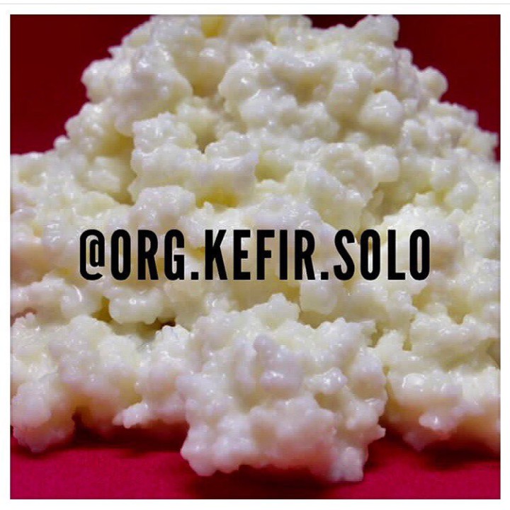 Jual BIBIT KEFIR 50GRAM | Shopee Indonesia