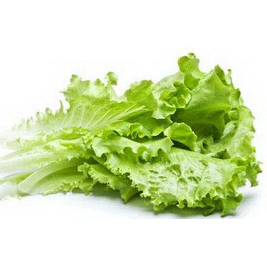 Jual Selada Sayuran Selada Air Sayuran Segar Slada | Shopee Indonesia