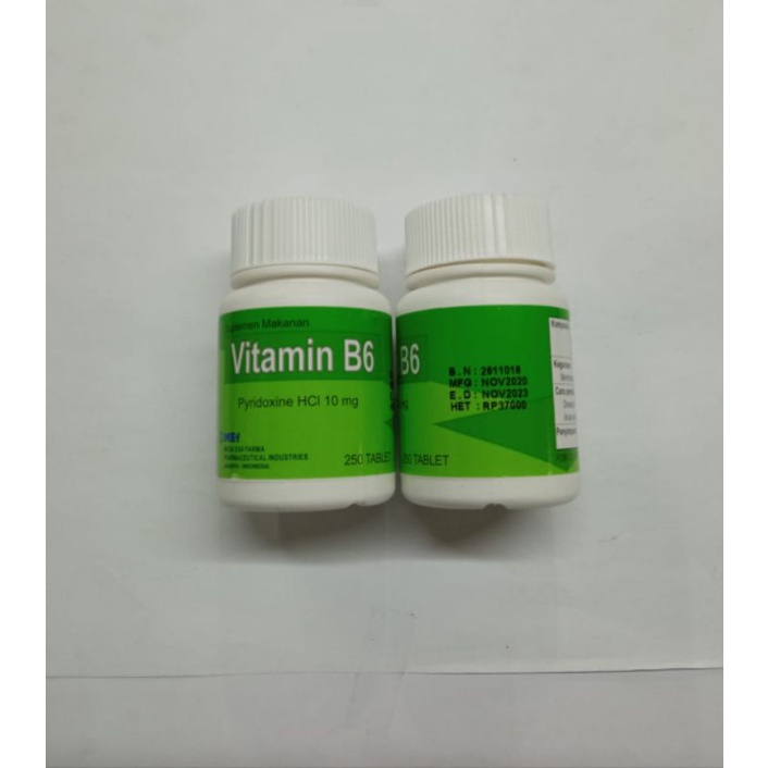 Jual vitamin B6 isi 250 tablet | Shopee Indonesia
