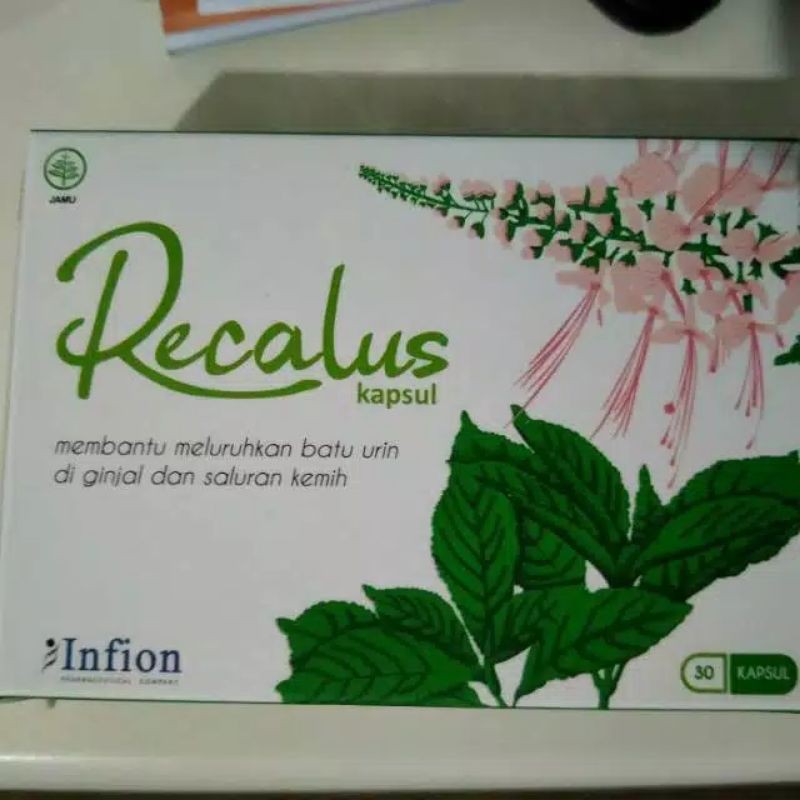 Jual Recalus Mencegah dan meluruhkan Batu Urin di Ginjal dan saluran ...