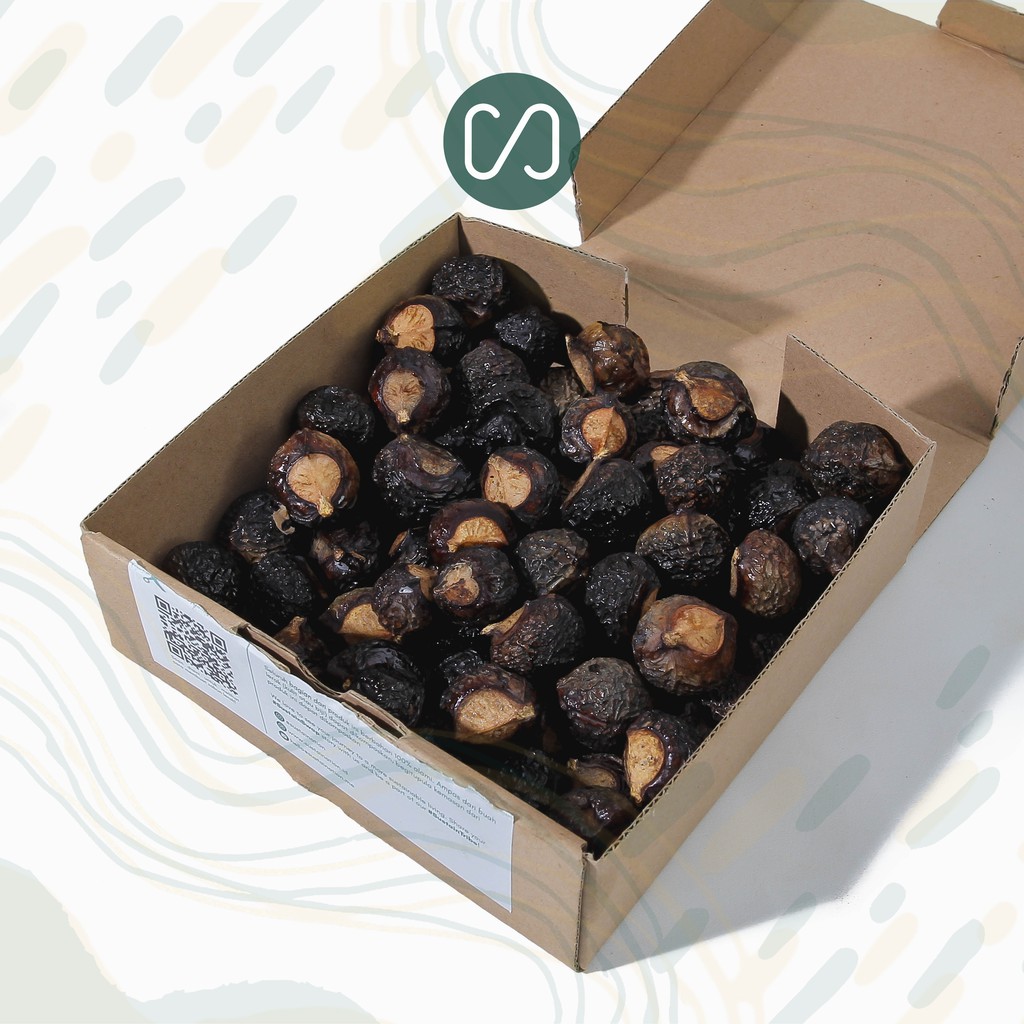 Jual Sustaination Buah Lerak Sabun Cuci Deterjen Alami Ramah Lingkungan ...