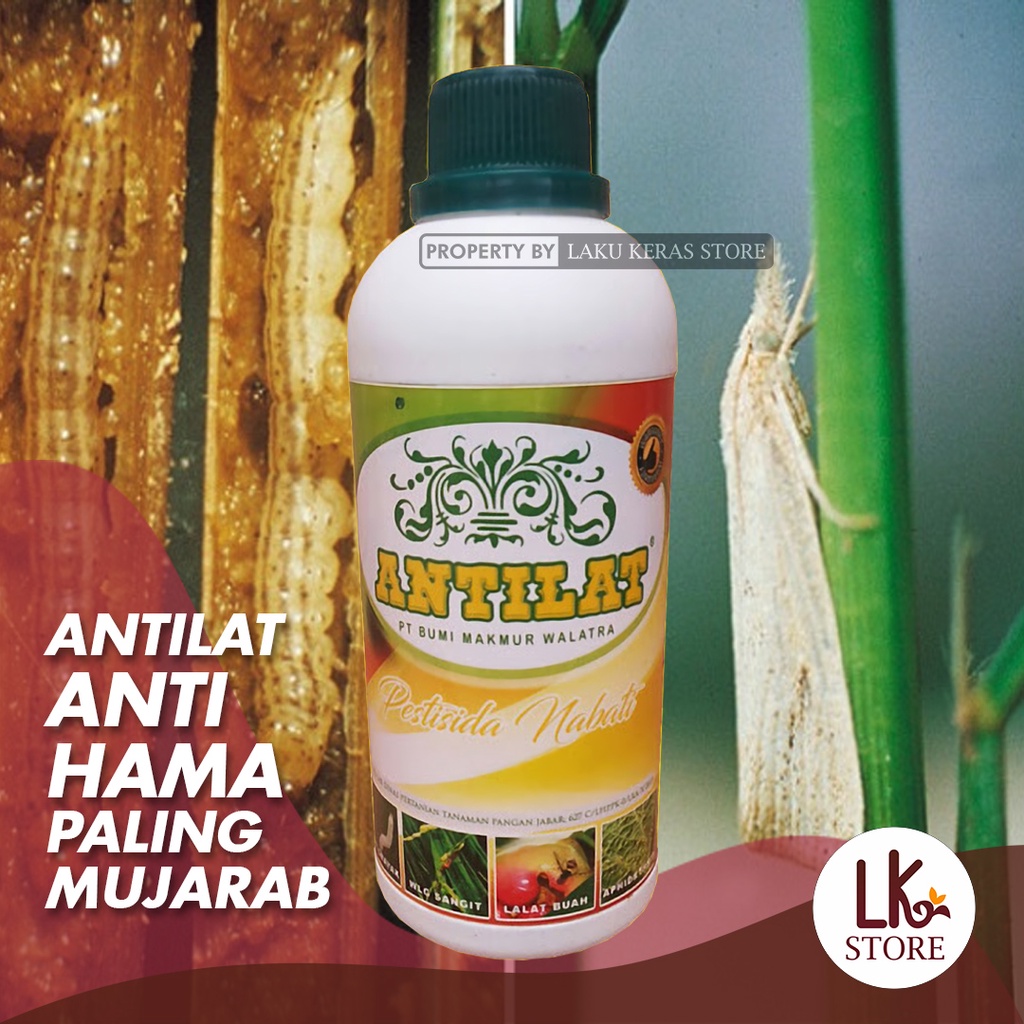 Jual Pestisida Organik Obat Pembasmi Hama Tanaman Obat Anti Hama Ulat padi Dan Sejenisnya ...