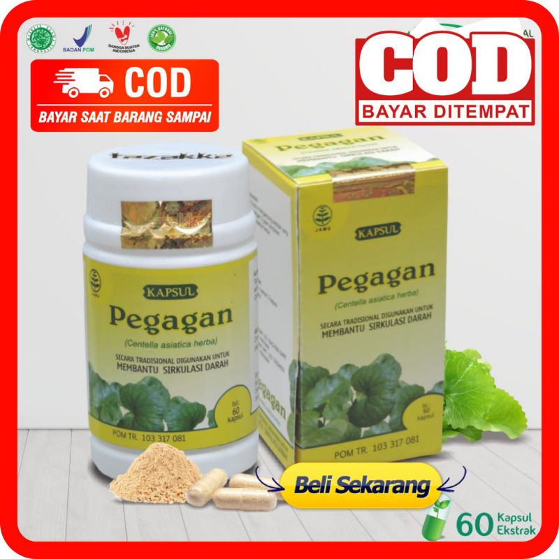 Jual KAPSUL PEGAGAN TAZAKKA - Ekstrak Pegagan Menambah Daya Ingat Meningkatkan Kecerdasan ...