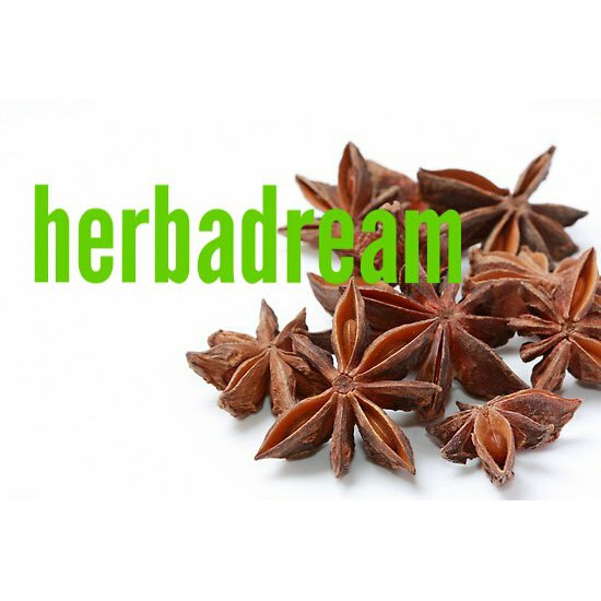 Jual 50 GRAM PEKAK BUNGA LAWANG PK PEKA ILLICIUM VERUM STAR ANISE BA ...