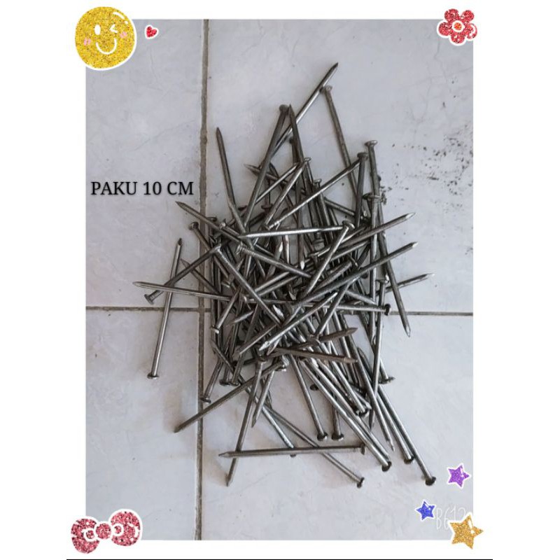 Jual PAKU 10 CM ( 1 KG ) | Shopee Indonesia