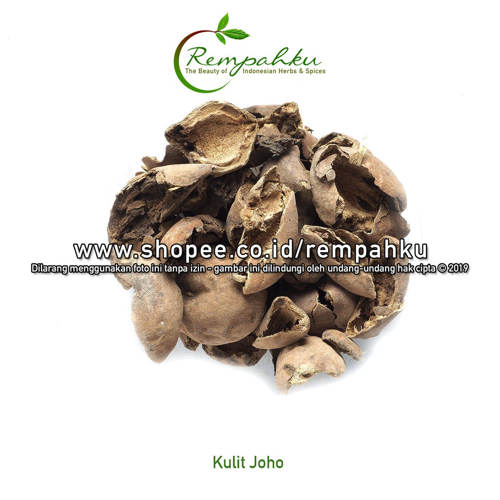 Jual Rempahku - Kulit JOHO 1kg Kayu Garam Jalawe Buah Jolawe Jaha ...