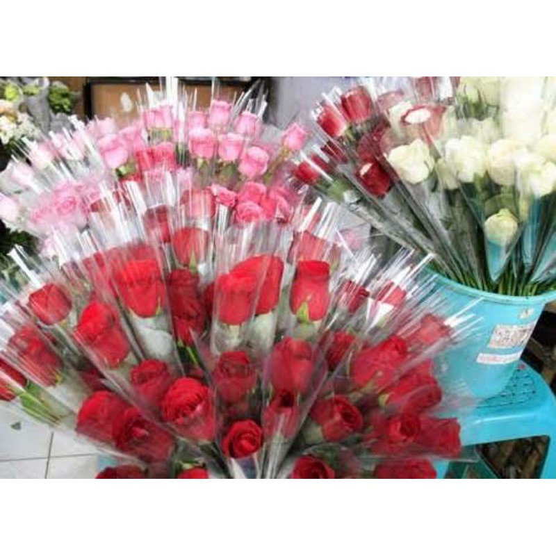 Jual Bunga Mawar per 10 tangkai sudah pita dan plastik murah ...