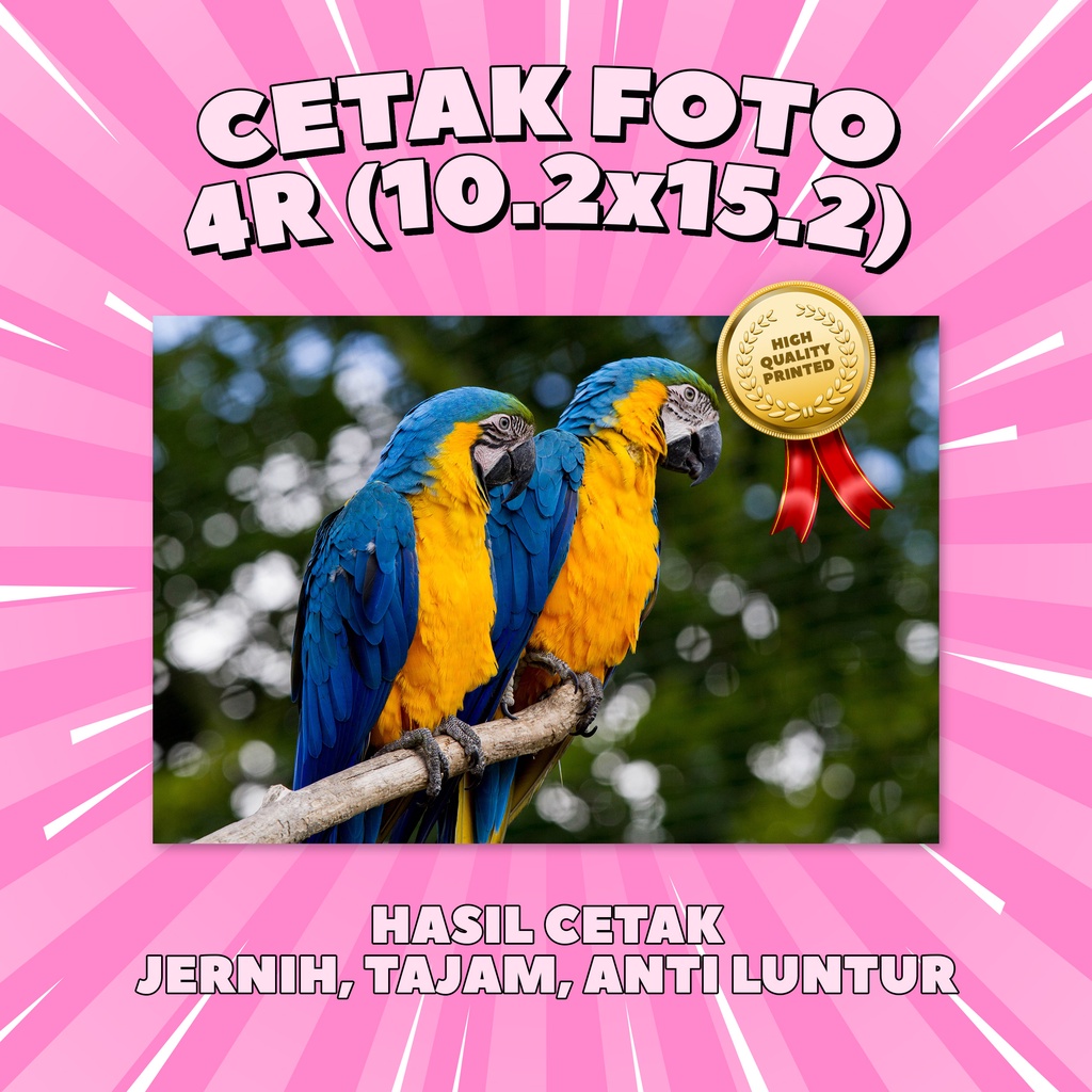 Jual Cetak Foto Ukuran 4R (10.2x15.2) High Resolution Printing - BISA COD | Shopee Indonesia
