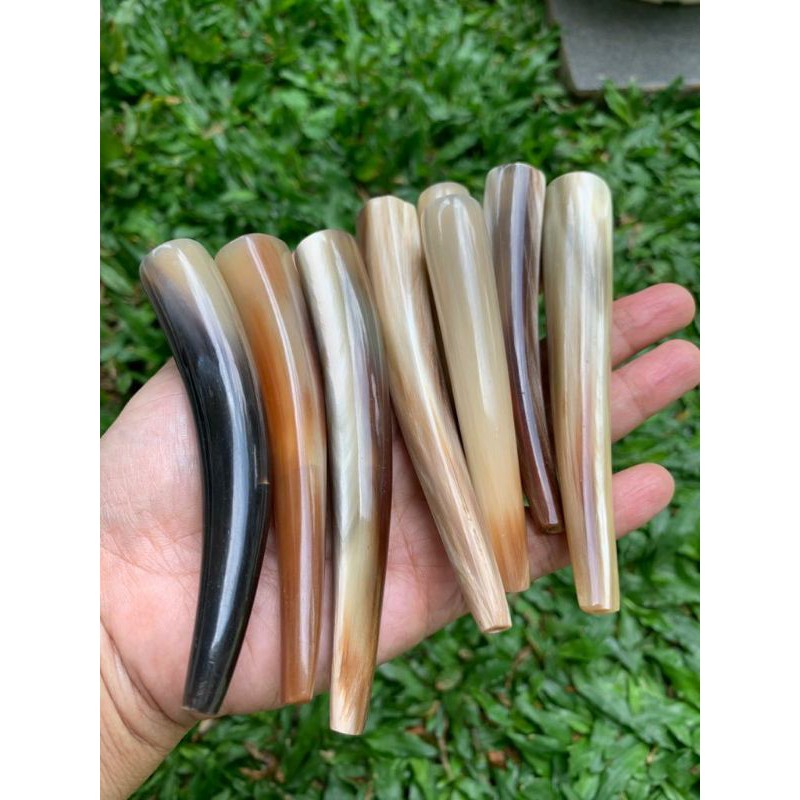 Jual PIPA ONCE TANKER/TANDUK KERBAU BULE DAN SILVER | Shopee Indonesia