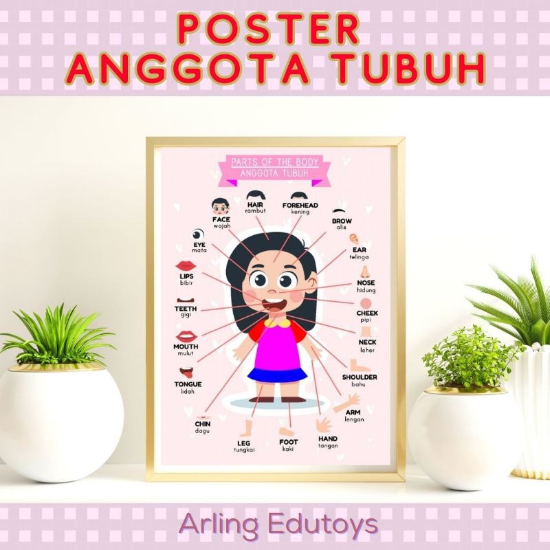 Jual Poster Belajar Edukasi Edukatif Anak Anggota Tubuh Parts of Body ...