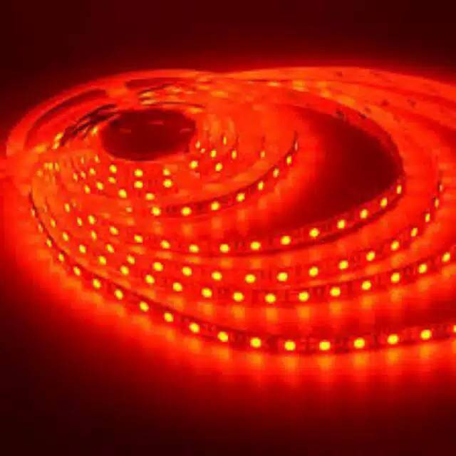 Jual LED STRIP Merah 3528 IP44 OUTDOOR FLEKSIBEL 1 meter | Shopee Indonesia