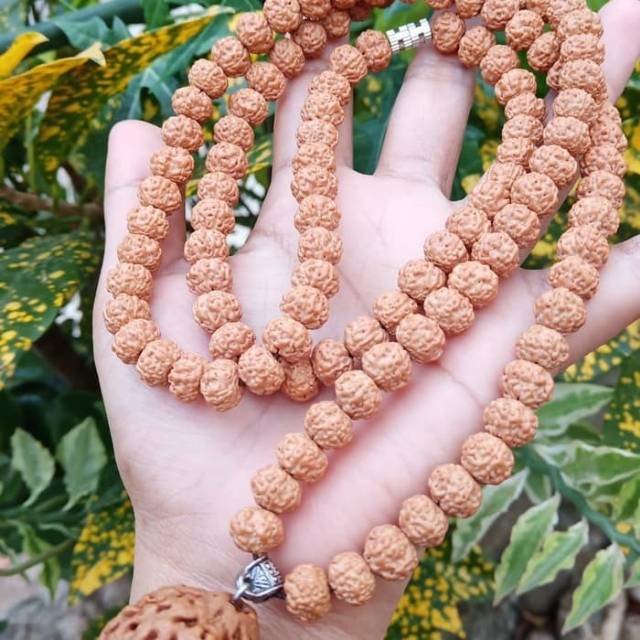Jual KALUNG JENITRI YOGA KETENANGAN RUDRAKSHA | Shopee Indonesia