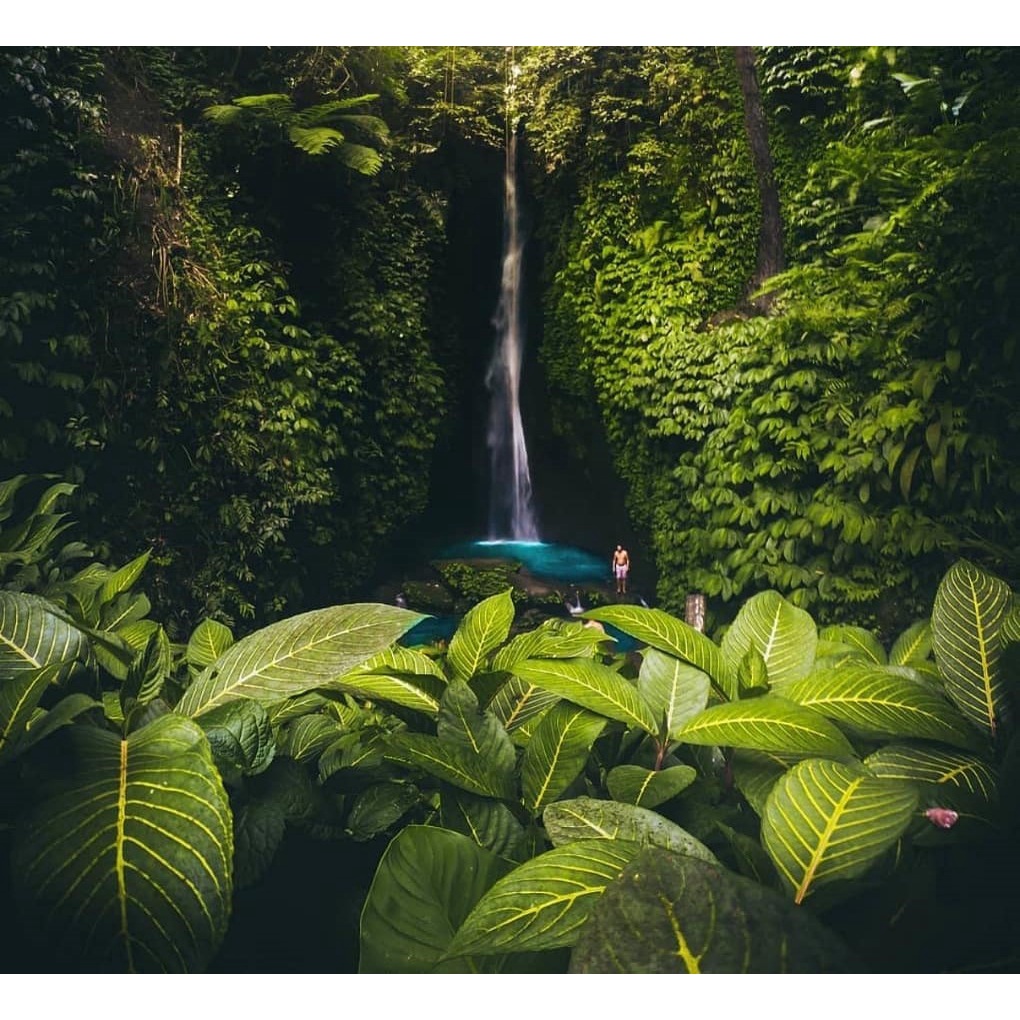 Jual Private Tour: Discover Hidden Waterfall, Unesco Rice Terraces and ...