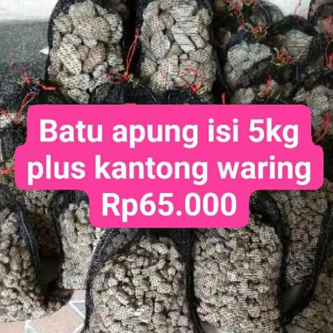Jual Akuarium/ Batu Apung Batu Gombong Penjernih Kolam Koi Isi 5Kg Plus ...