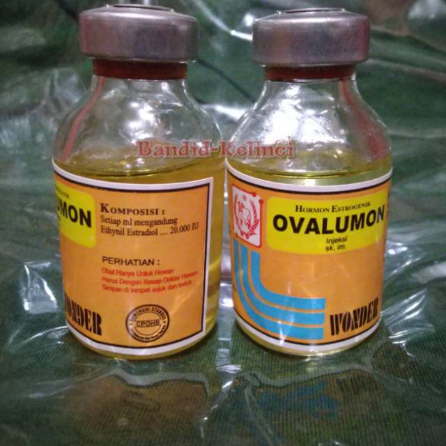 Jual OVALUMON 20 ml - HORMON PEMACU BIRAHI HEWAN BETINA | Shopee Indonesia