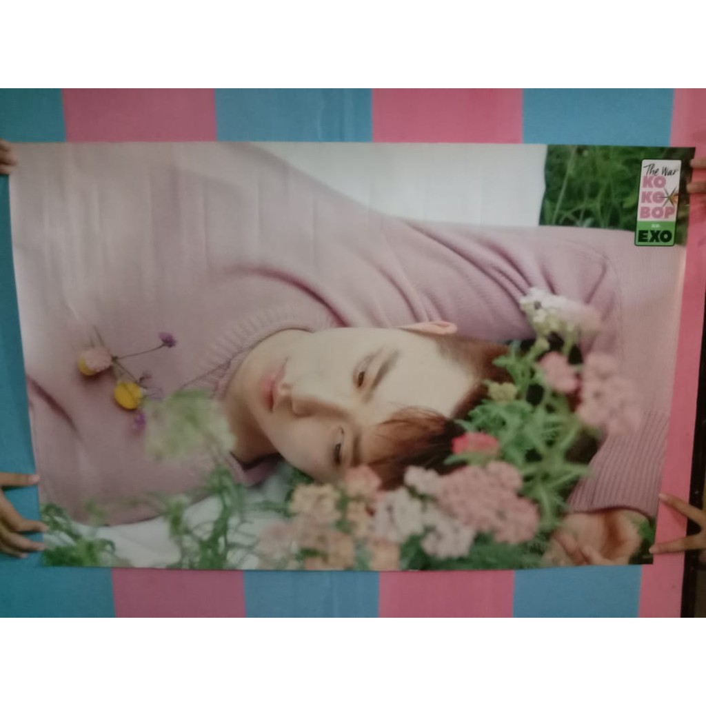 Jual Poster EXO Official | Shopee Indonesia